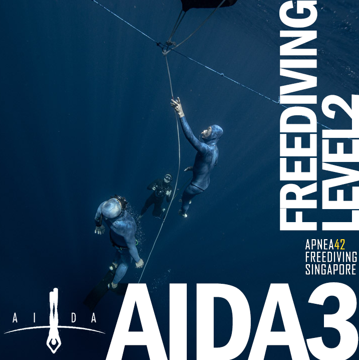 Freediving Level 2 – Apnea42 Freediving