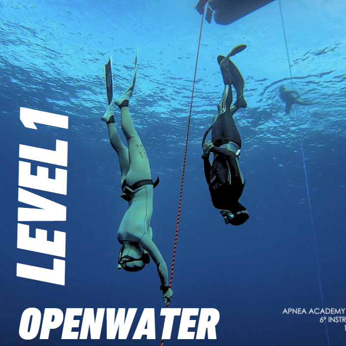 A42 Singapore Freediving Courses – Apnea42 Freediving