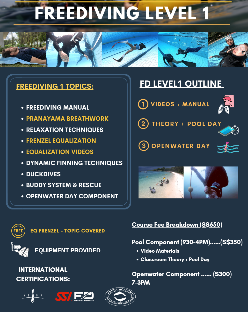Freediving Level 1 for Beginners - Apnea42 Singapore – Apnea42 Freediving