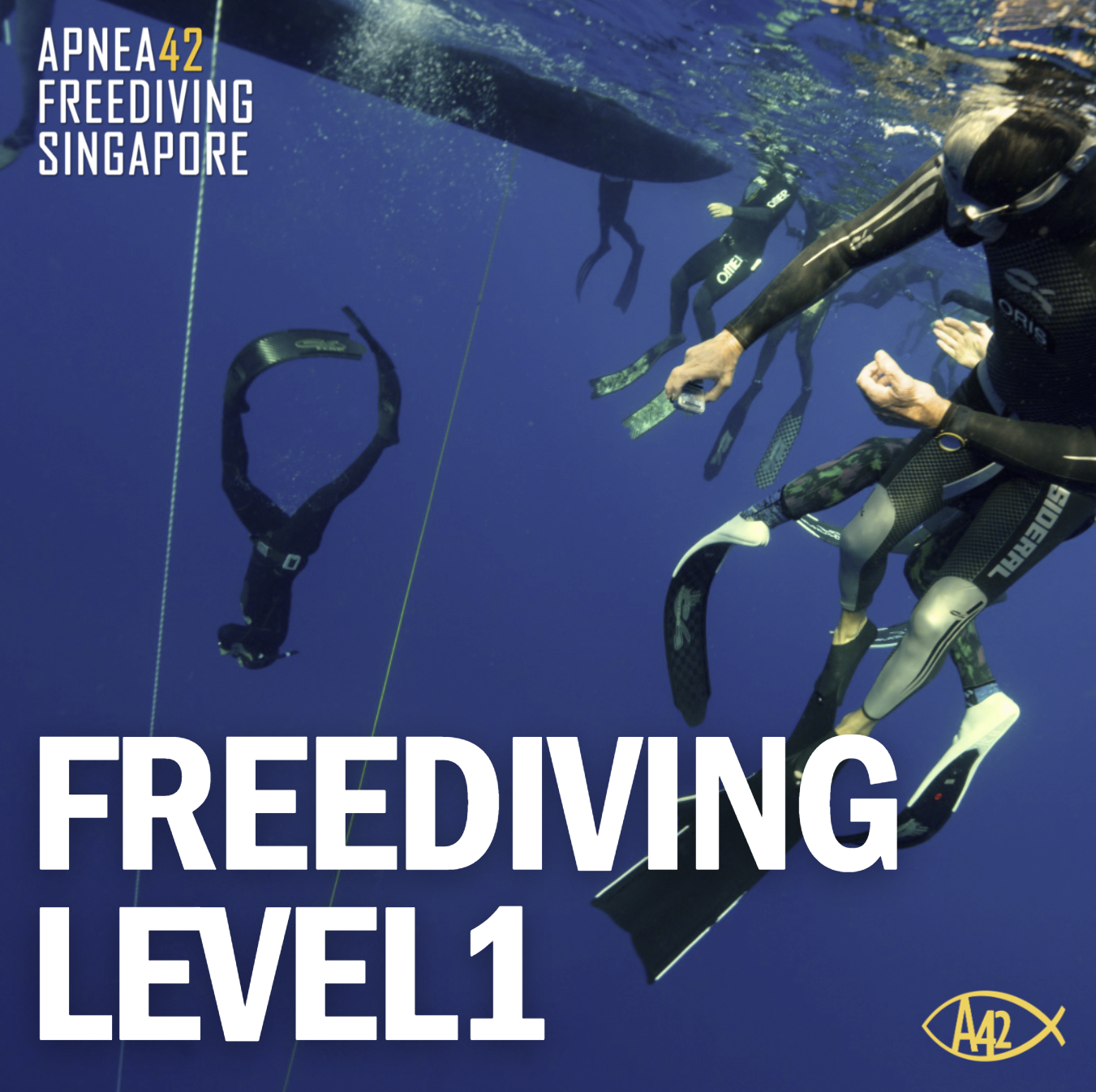 Freediving Level 1 for Beginners - Apnea42 Singapore – Apnea42 Freediving