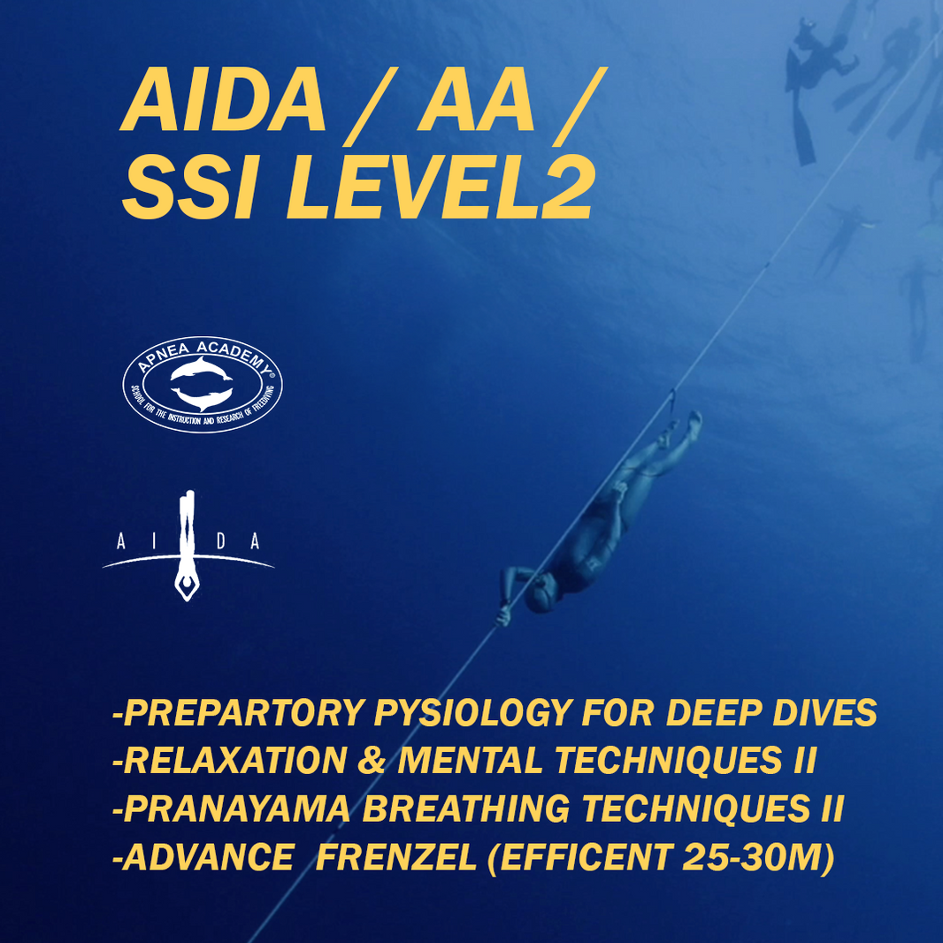 A42 Singapore Freediving Courses – Apnea42 Freediving