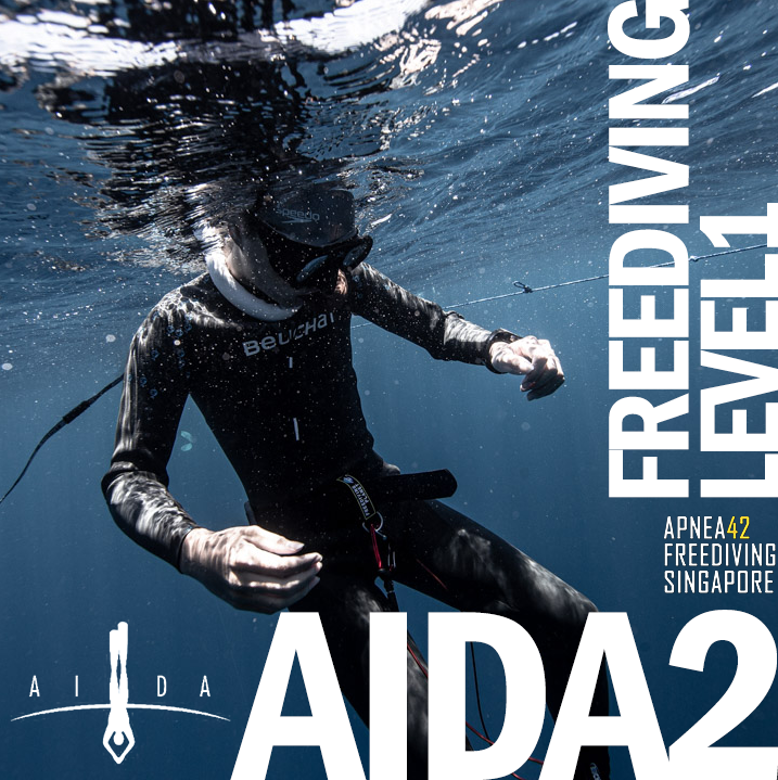 AIDA2 Beginner (Deep Pool) – Apnea42 Freediving